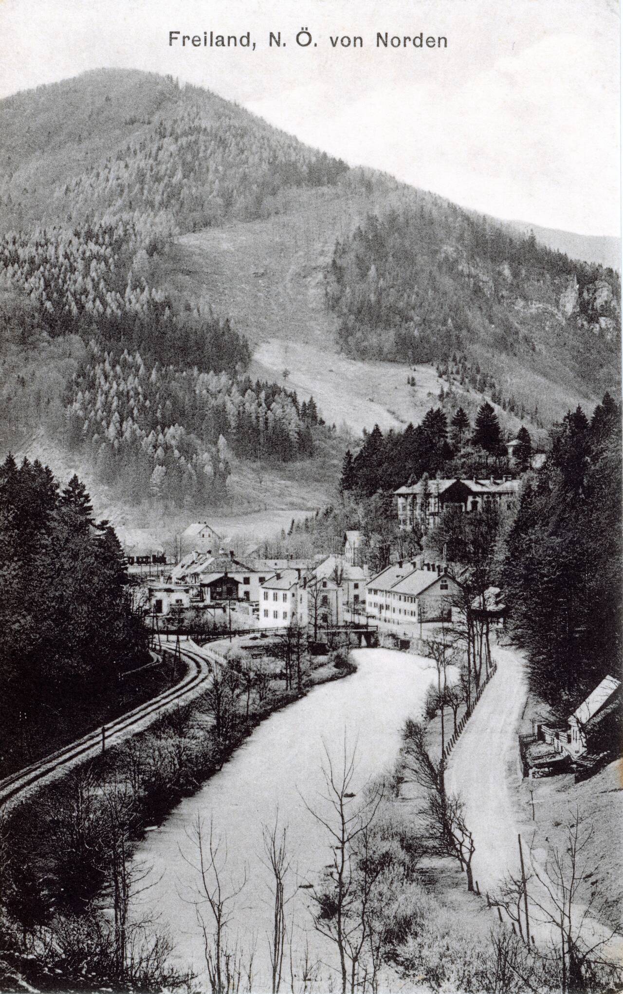 Freiland von Norden