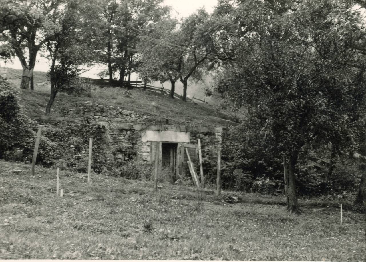 Erdkeller Steghof